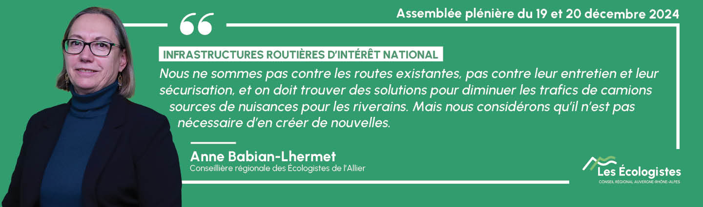 Intervention de Anne Babian-Lhermet sur les infrastructures routières d ...